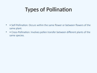 Pollination_Presentation_Customized.pptx