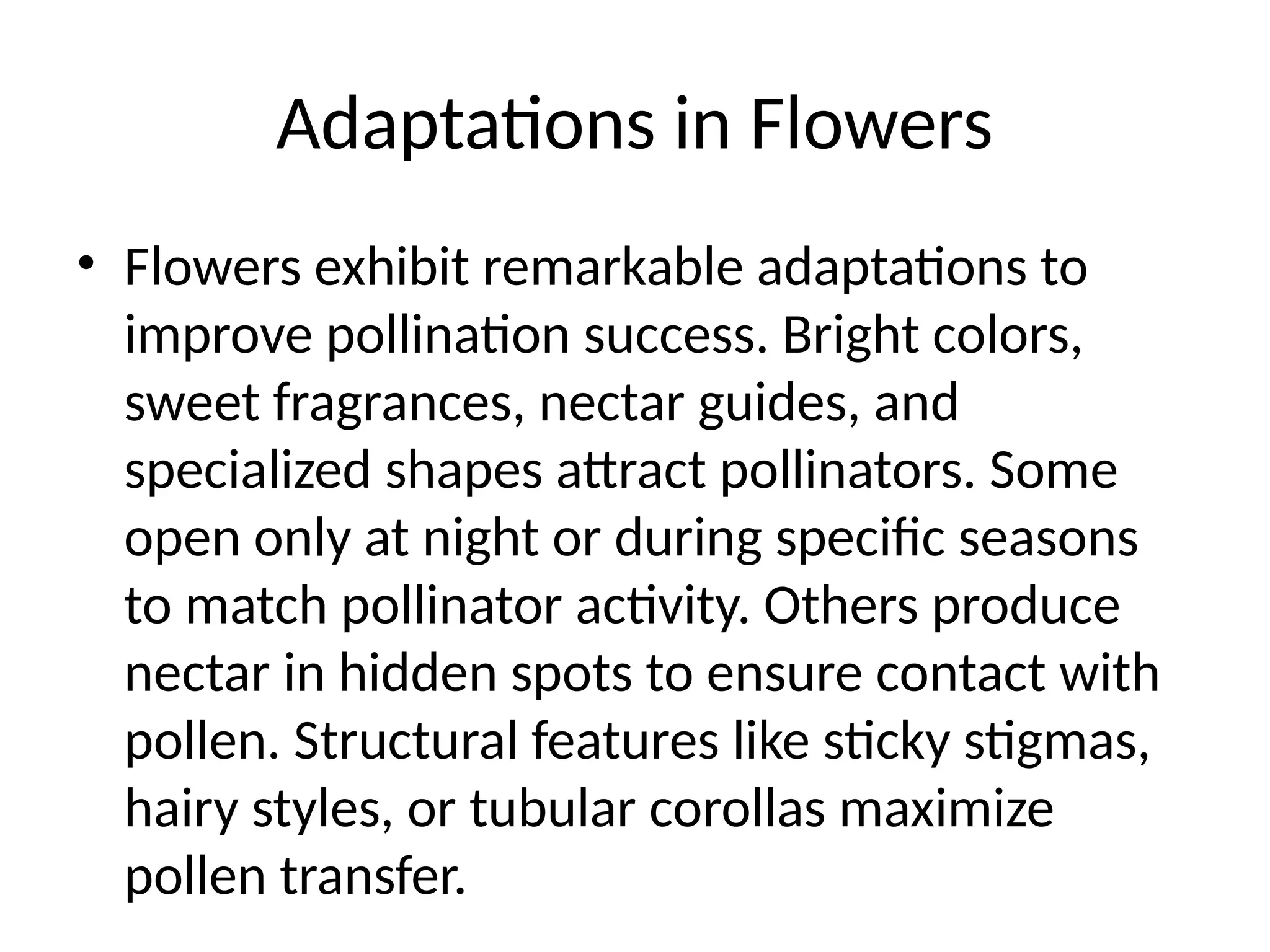Pollination_Presentation_Expanded_1000Chars.pptx
