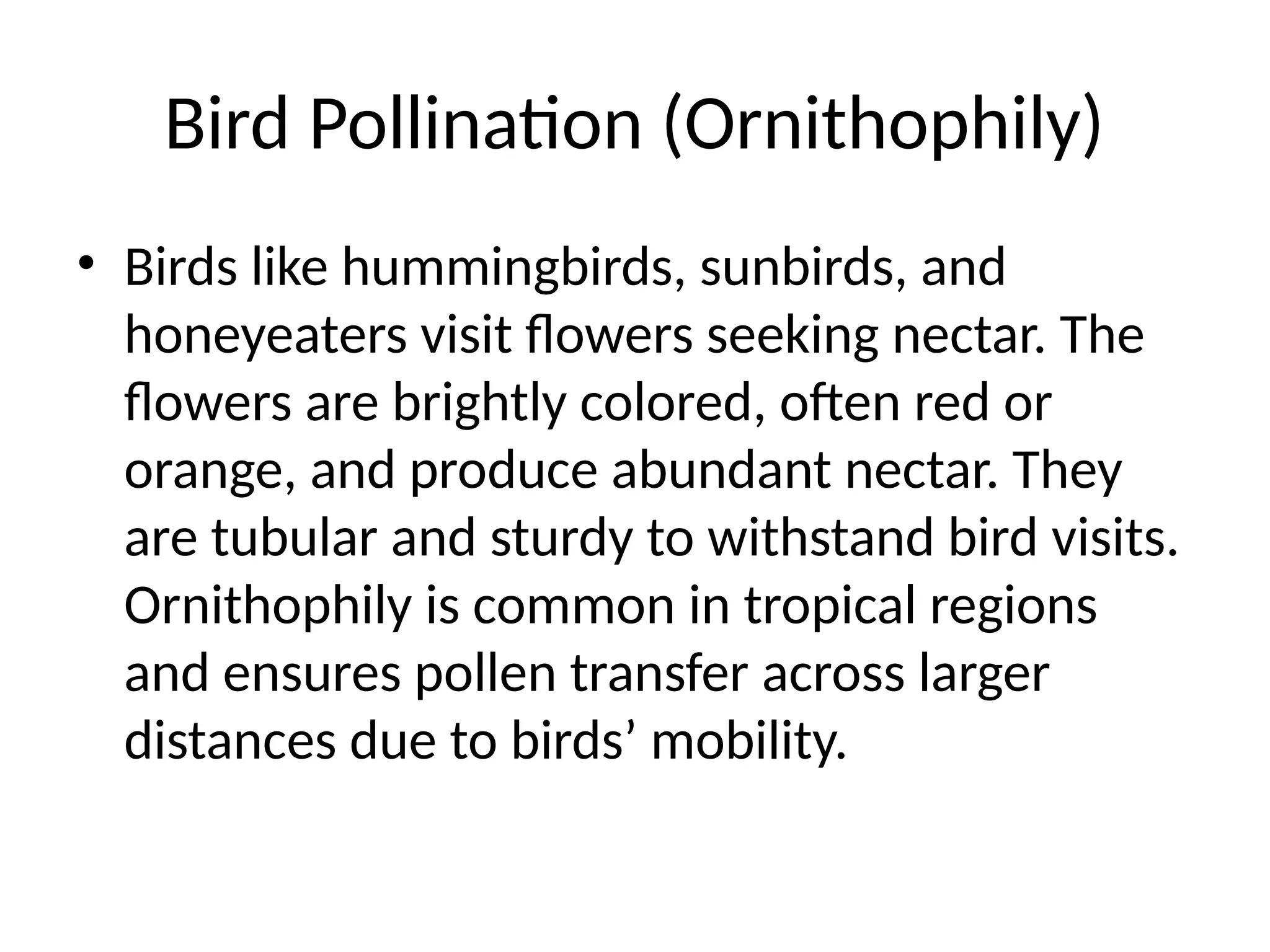 Pollination_Presentation_Expanded_1000Chars.pptx
