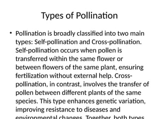 Pollination_Presentation_Expanded_1000Chars.pptx