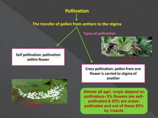 Pollination service of honeybee | PPT