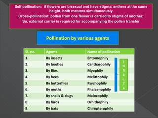 Pollination service of honeybee | PPT