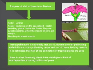 Pollination service of honeybee | PPT