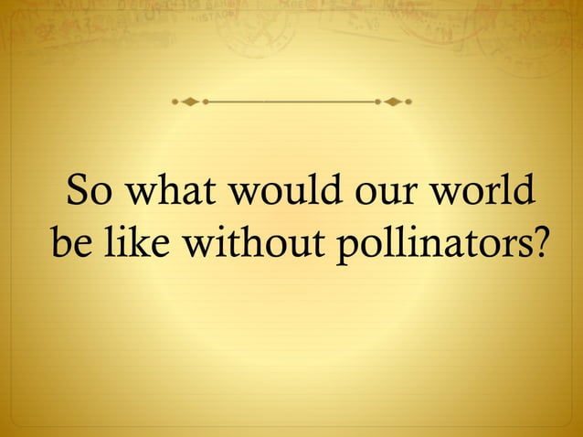 Pollinator 2 | PPTX
