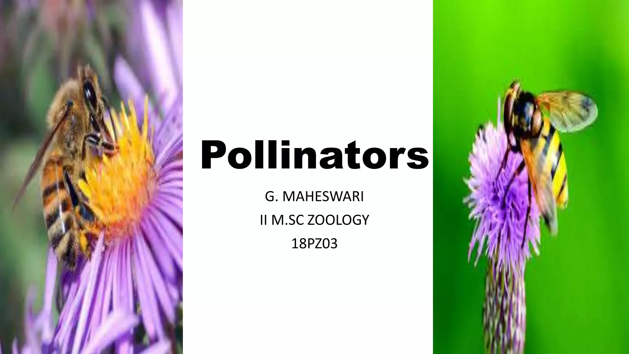 Pollinators and their types | PPTX