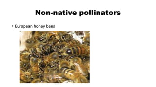 Pollinators and their types | PPTX