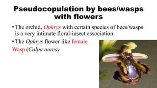 Pollinators and their types | PPTX