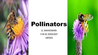 Pollinators and their types | PPTX