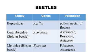 Pollinators and their types | PPTX