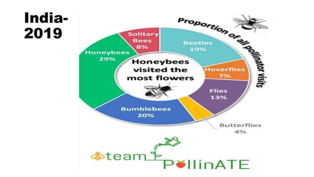 Pollinators and their types | PPTX