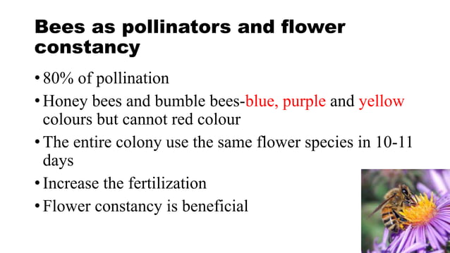 Pollinators and their types | PPTX