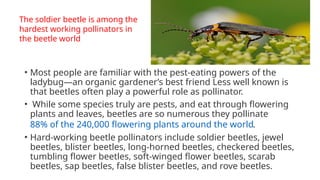 Pollinators 5th semester Bsc Ag OUAT.pptx