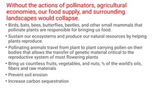 Pollinators 5th semester Bsc Ag OUAT.pptx