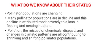 Pollinators 5th semester Bsc Ag OUAT.pptx