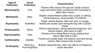 Pollinators 5th semester Bsc Ag OUAT.pptx