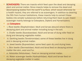 pollinator, weed killer and scavengers.pptx