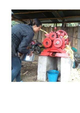 Pollinaza mas proteina | DOCX