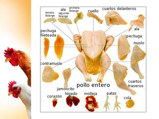 Carne de Pollo "tipos de corte y faena"