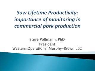 Dr. Steve Pollmann - Sow lifetime productivity: Importance of ...
