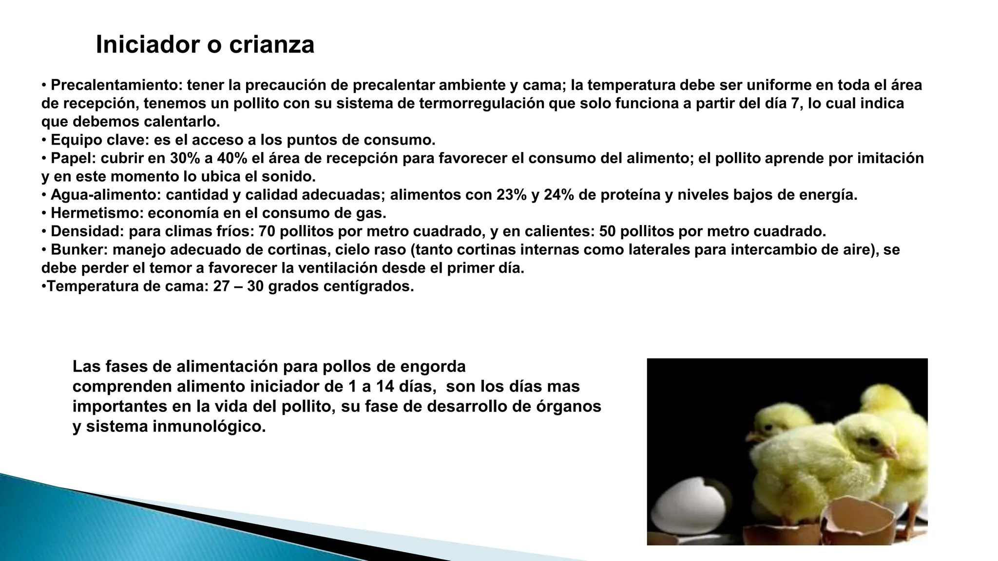 pollos de engorde, toda la informacion requerida.pptx