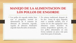 Pollos de engordes | PPTX