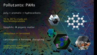 Pollutants | PPT