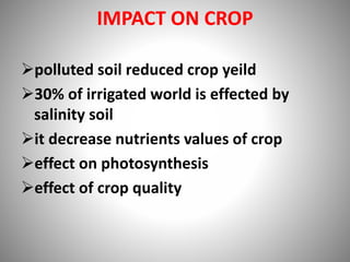 polluted soil managment and impact on crop.pptx