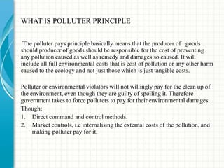Polluter pays principle | PPTX | Environmental Services Industry ...