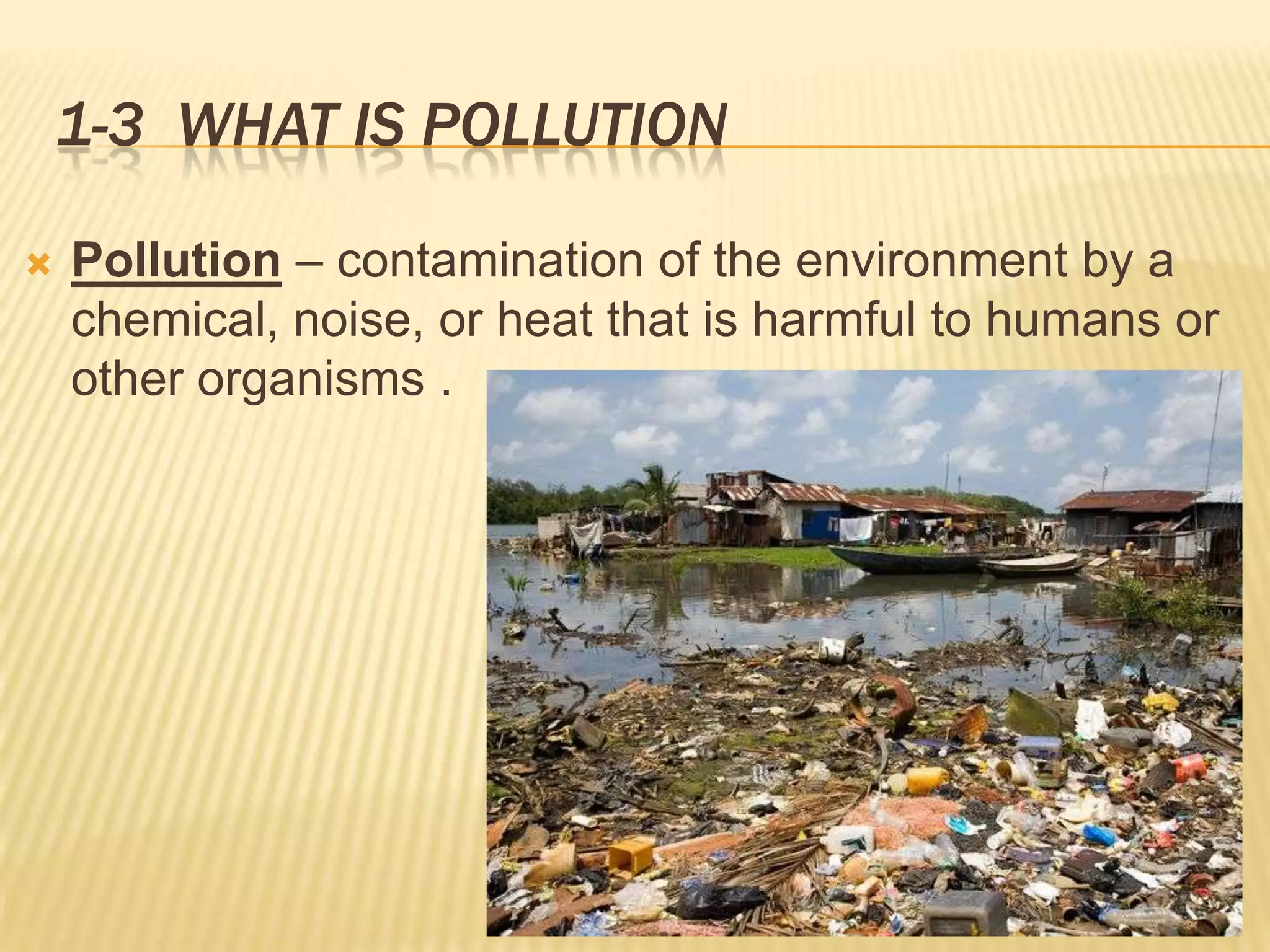 Pollution Notes | PPTX