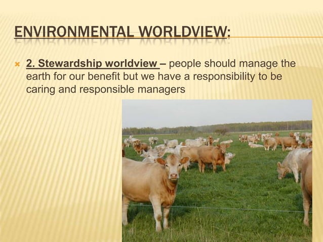 Pollution Notes | PPTX