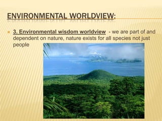 Pollution Notes | PPTX