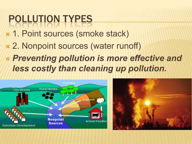 Pollution Notes | PPTX