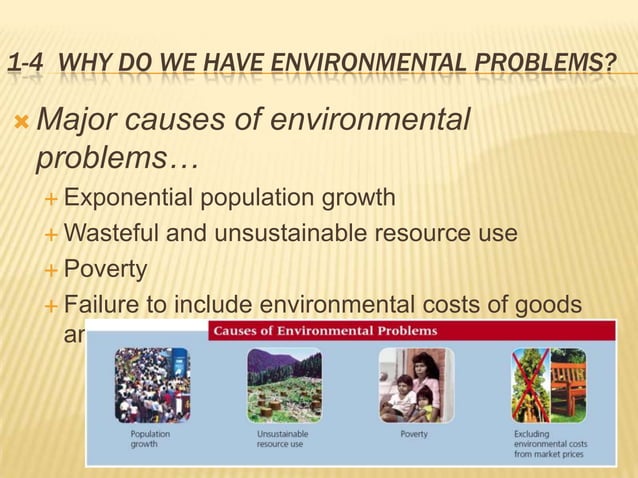 Pollution Notes | PPTX