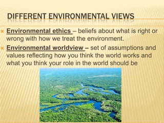 Pollution Notes | PPTX