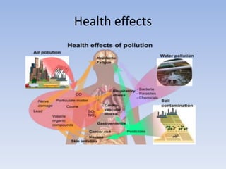 Pollution important | PPTX