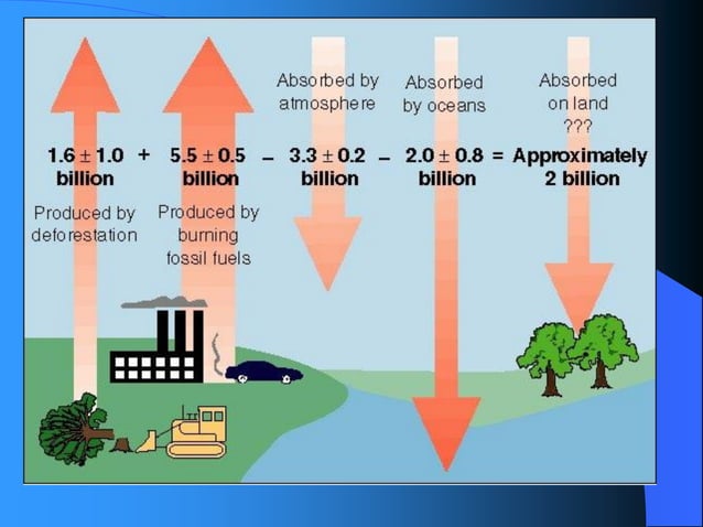 Environmental Pollution - Causes, Effects and Control Measures | PDF