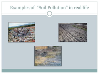 Pollution | PPT