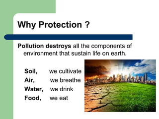 Environmental Pollution and its control measures | PPT