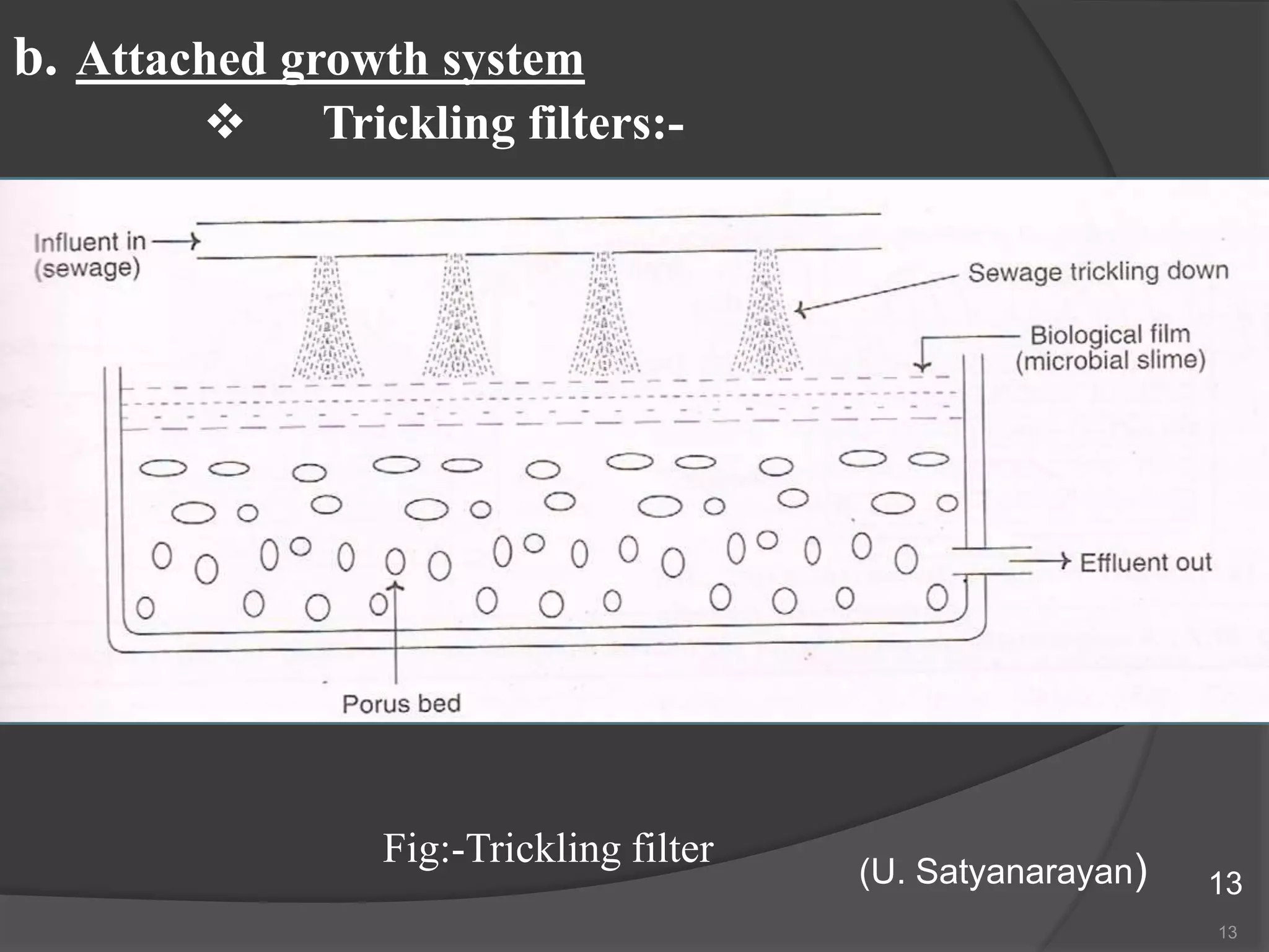 Water Pollution and its control through biotechnology | PPTX