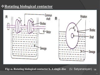 Water Pollution and its control through biotechnology | PPTX