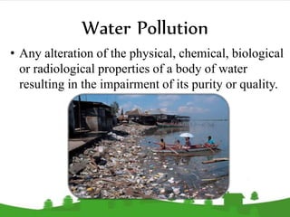 Pollution and Environmental Law: Pollution Control in the Philippines ...