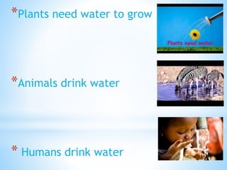 Uses of water | PPTX