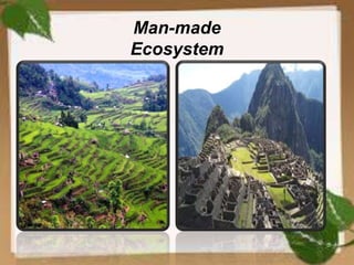 Causes and Effects of Pollution | PPTX | Indoor Environmental Quality ...