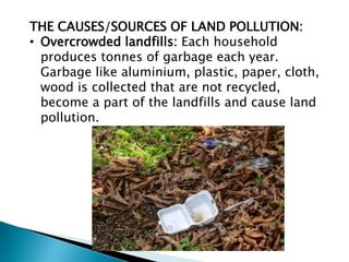 Pollution | PPT