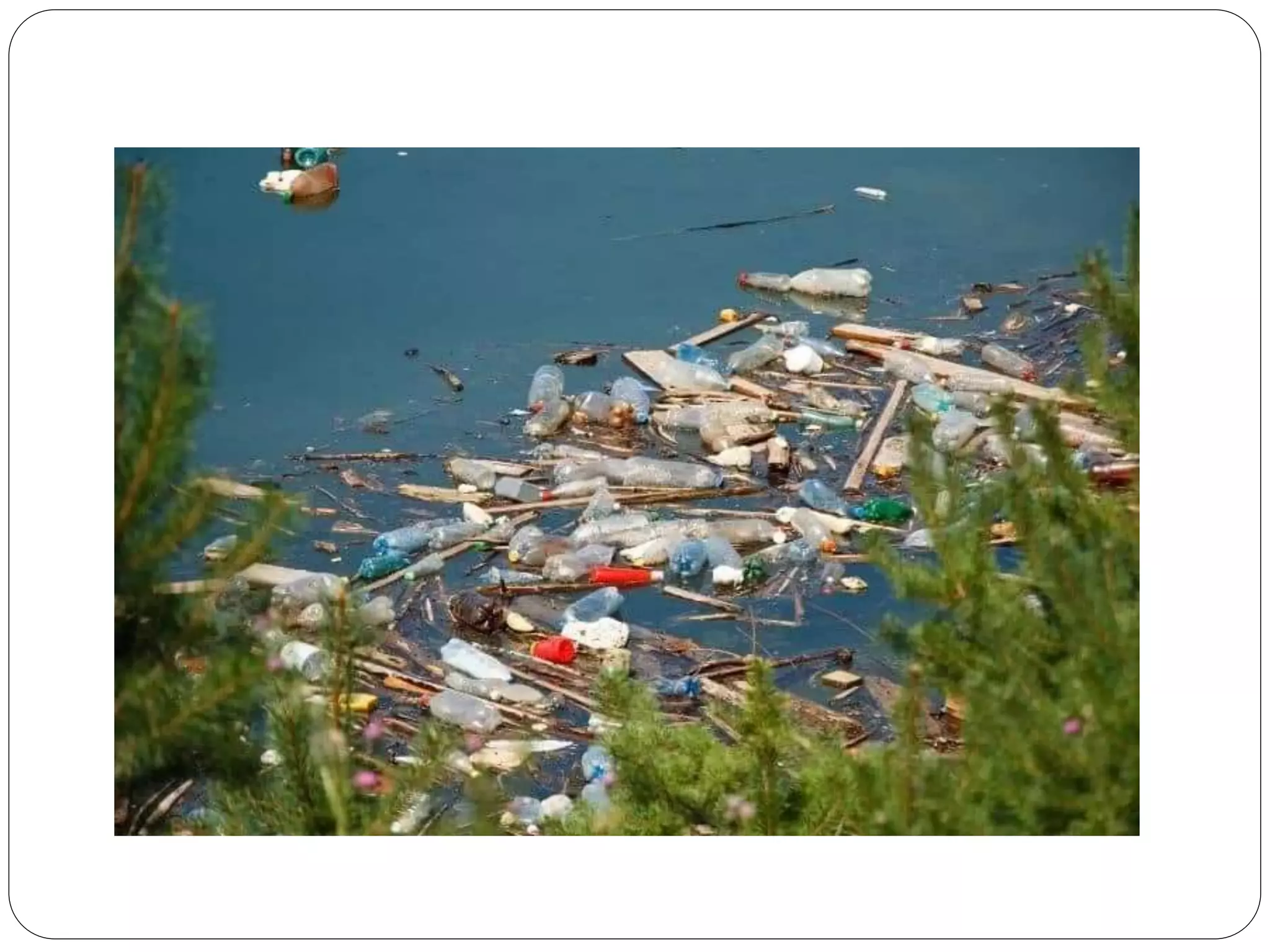 Different types of pollution, it's causes and effects. | PPTX