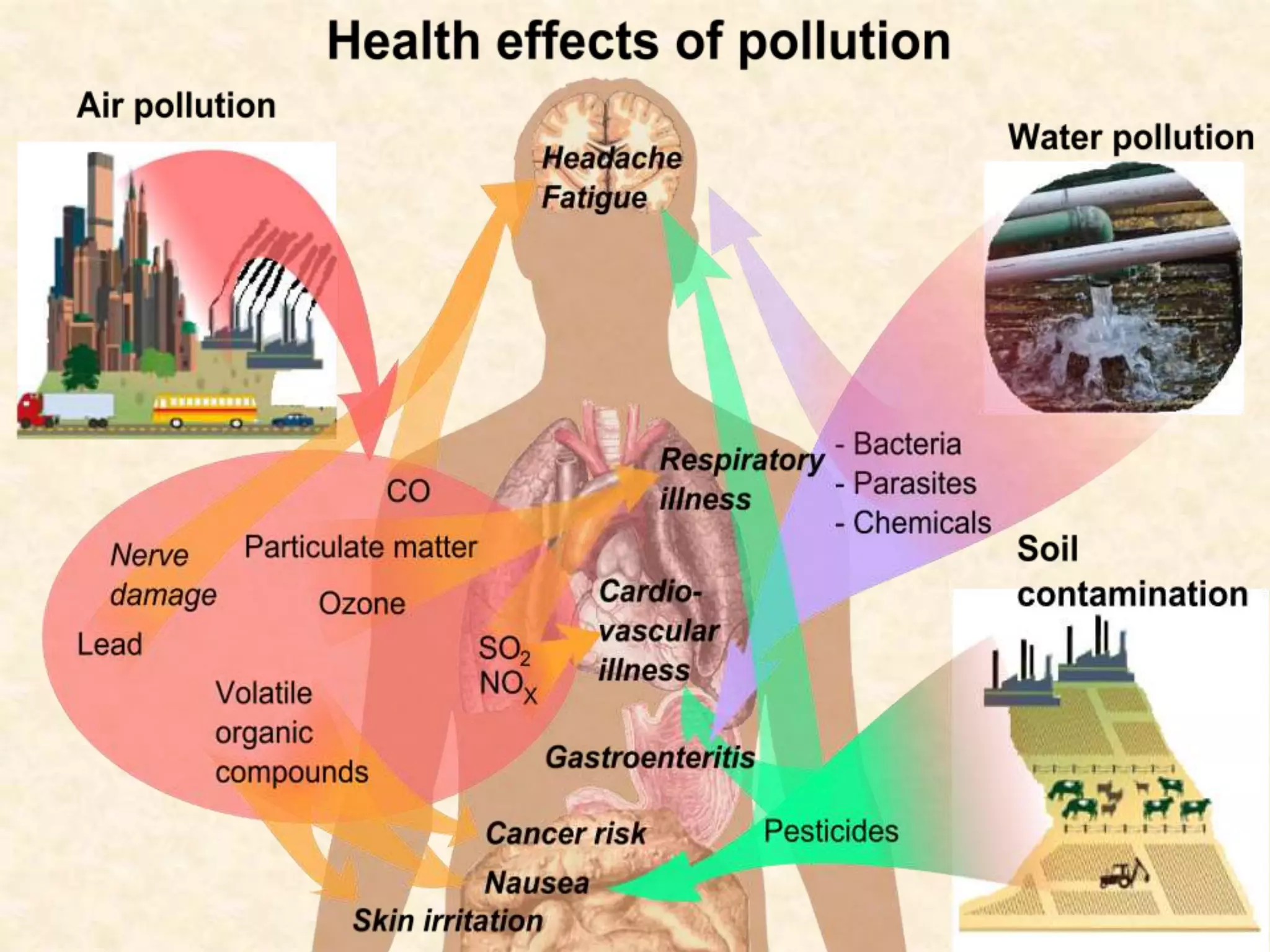 Environmental Pollution | PPTX