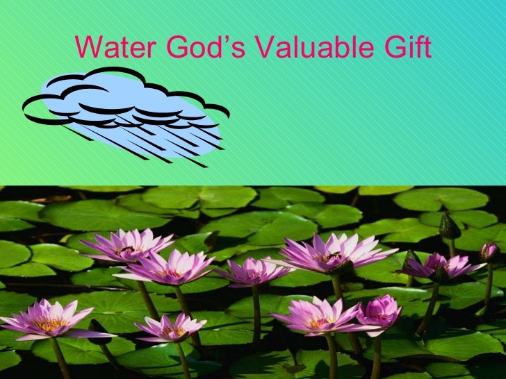 Water Pollution Definition Essay water-pollution-definition-essay