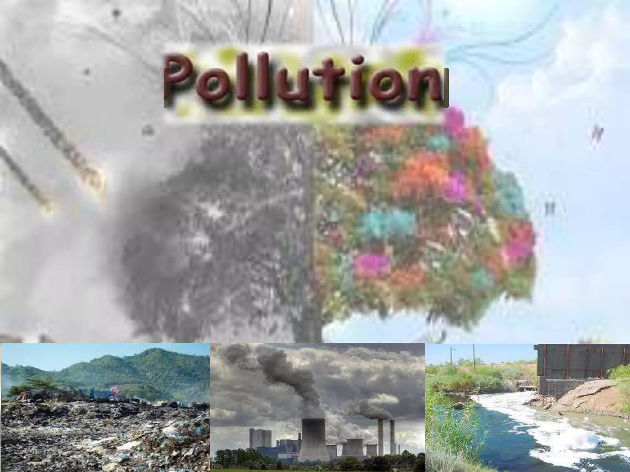 Pollution science school project | PPTX