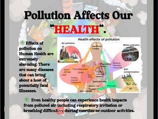 Pollution | PDF