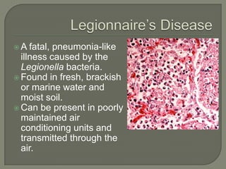 Humans, Health and the Environment | PPT